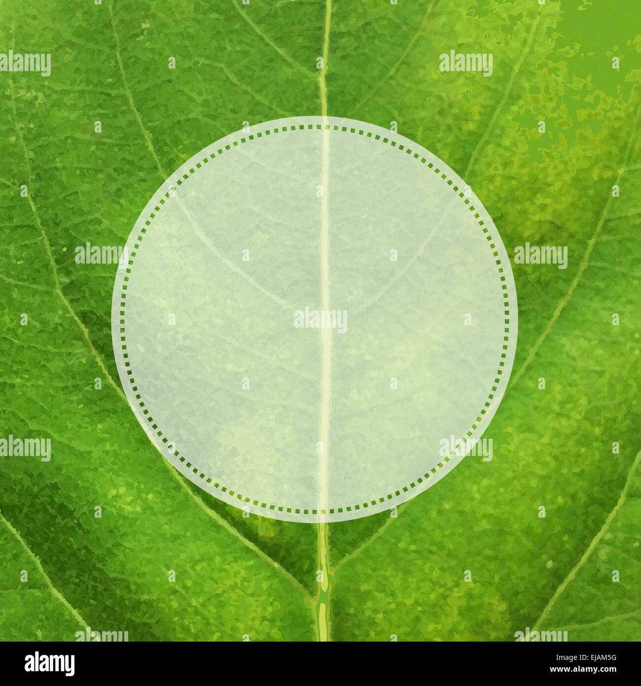 Leaf label hi-res stock photography and images - Alamy