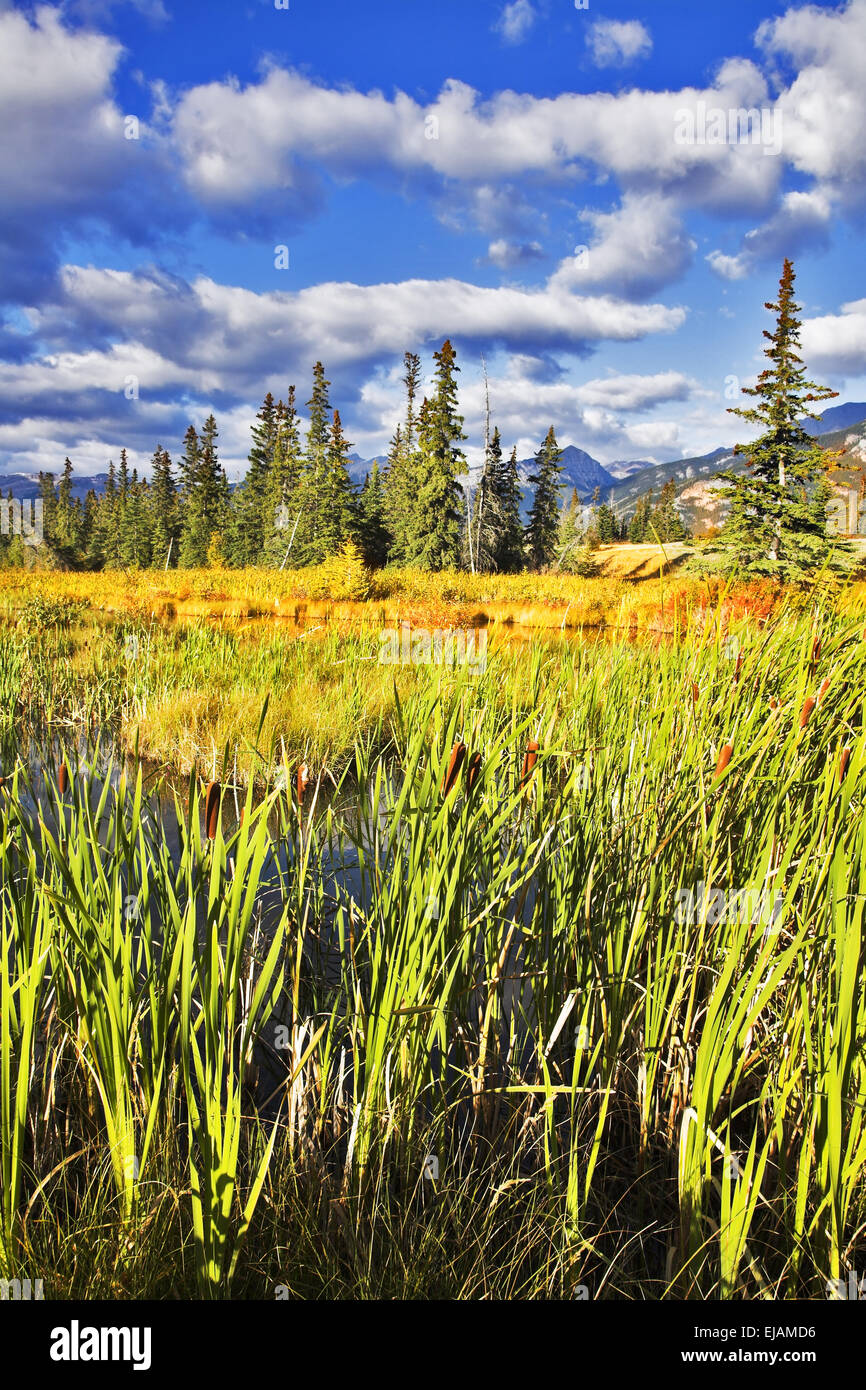 Magnificent morning in the north of Canada Stock Photo - Alamy