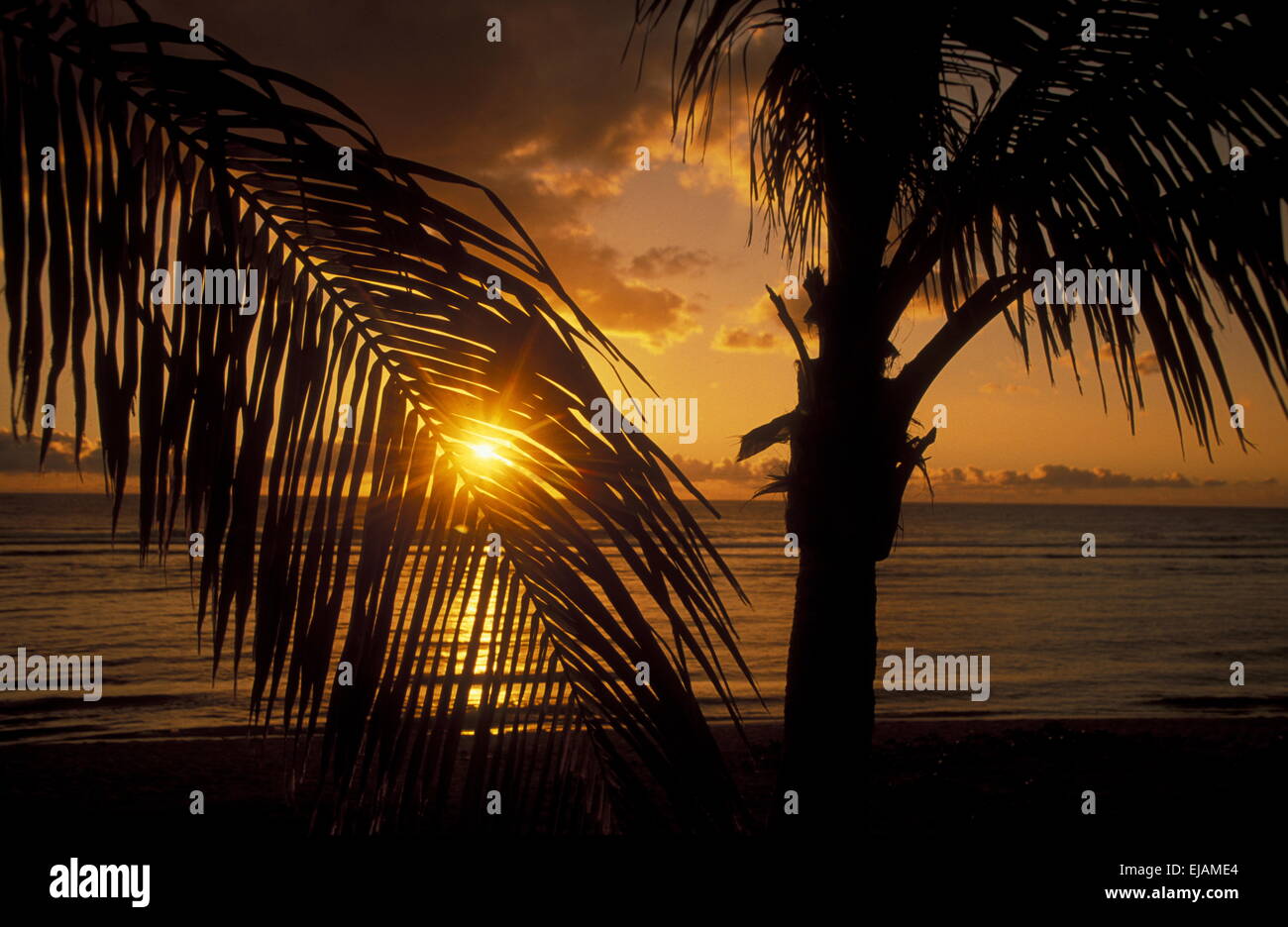 AFRICA FRANCE LA REUNION Stock Photo - Alamy