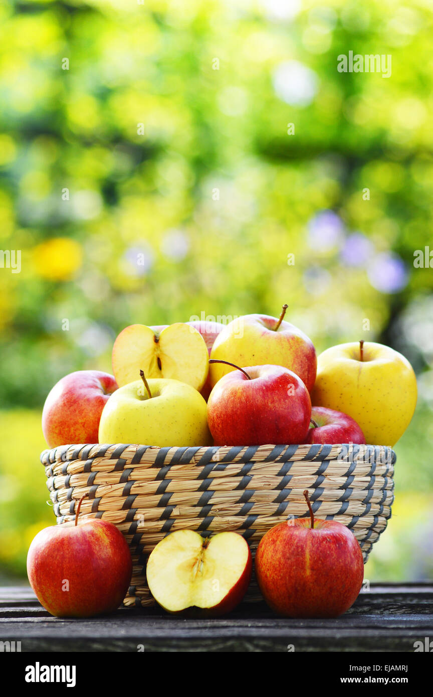 Organic apples in the garden. Balanced diet Stock Photo - Alamy
