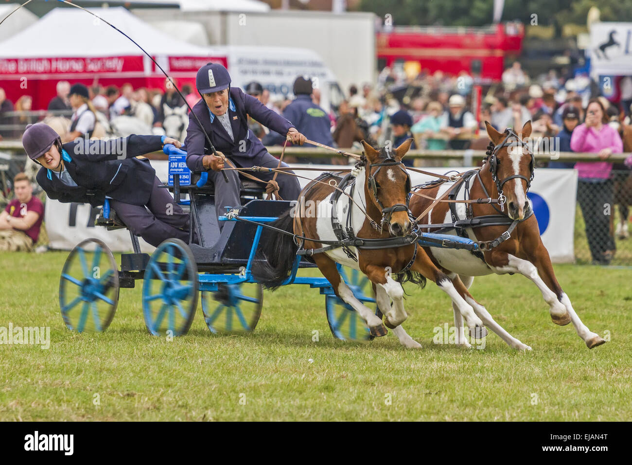 Scurry Racing Berkshire UK Stock Photo - Alamy