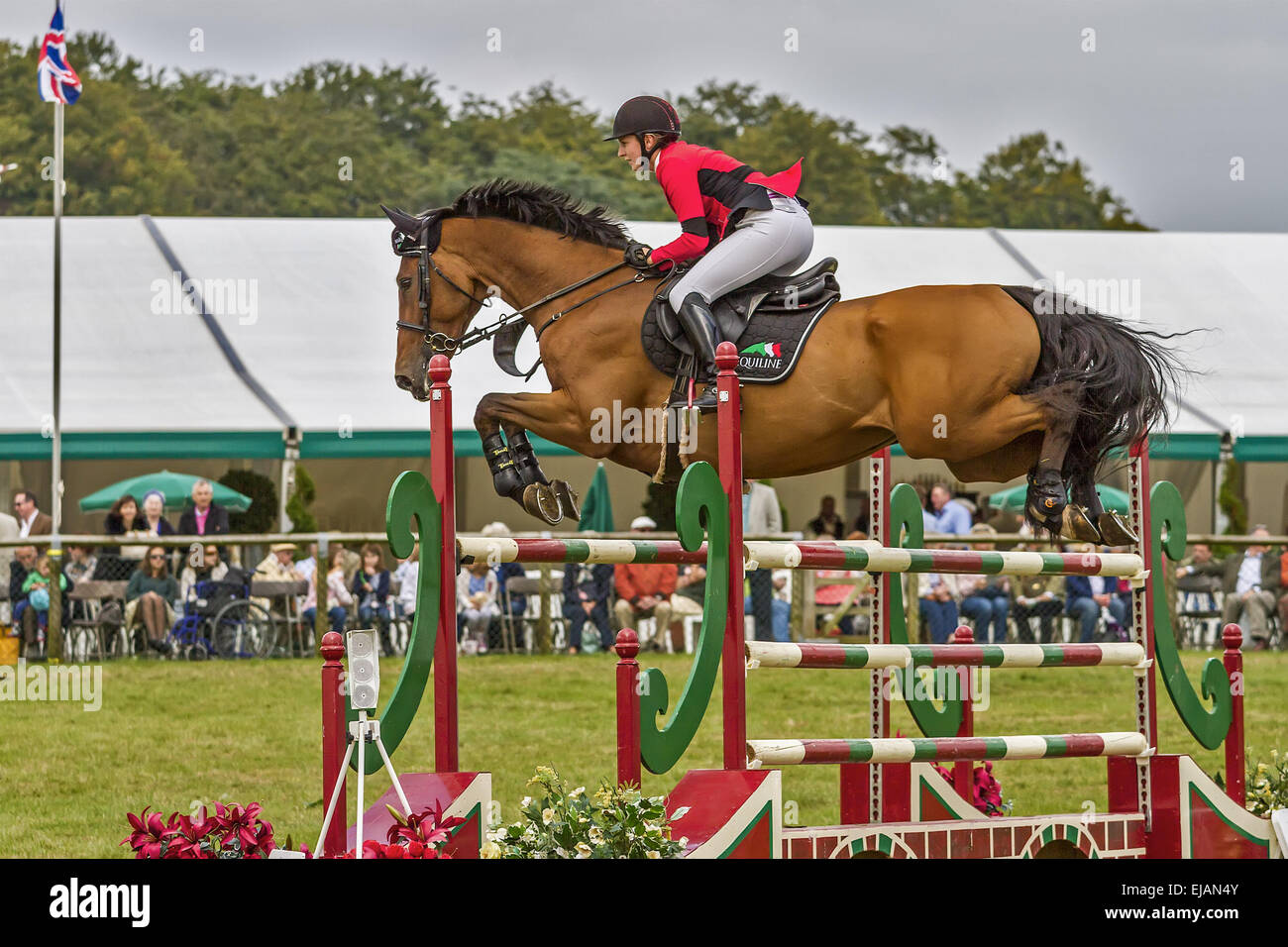 British showjumping hi-res stock photography and images - Alamy