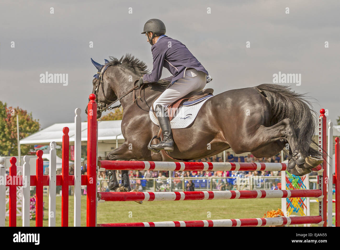 British showjumping hi-res stock photography and images - Alamy