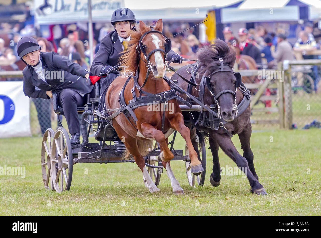 Scurry Racing Berkshire UK Stock Photo - Alamy