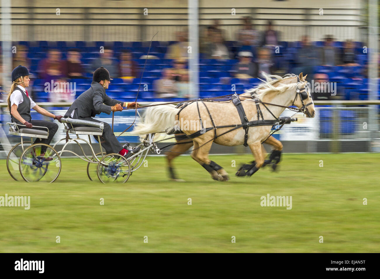 Scurry driving hi-res stock photography and images - Alamy