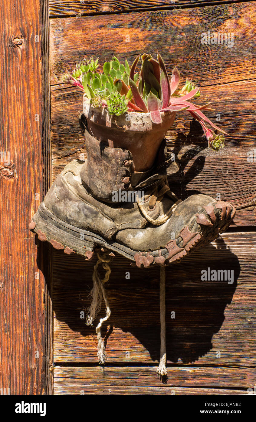Broken pot plant hi-res stock photography and images - Alamy