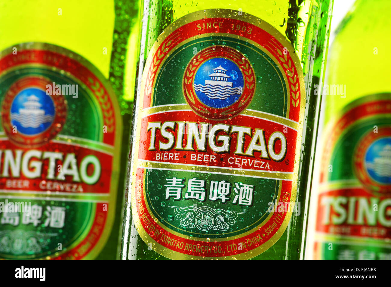 Tsingtao beer Stock Photo: 80141580 - Alamy