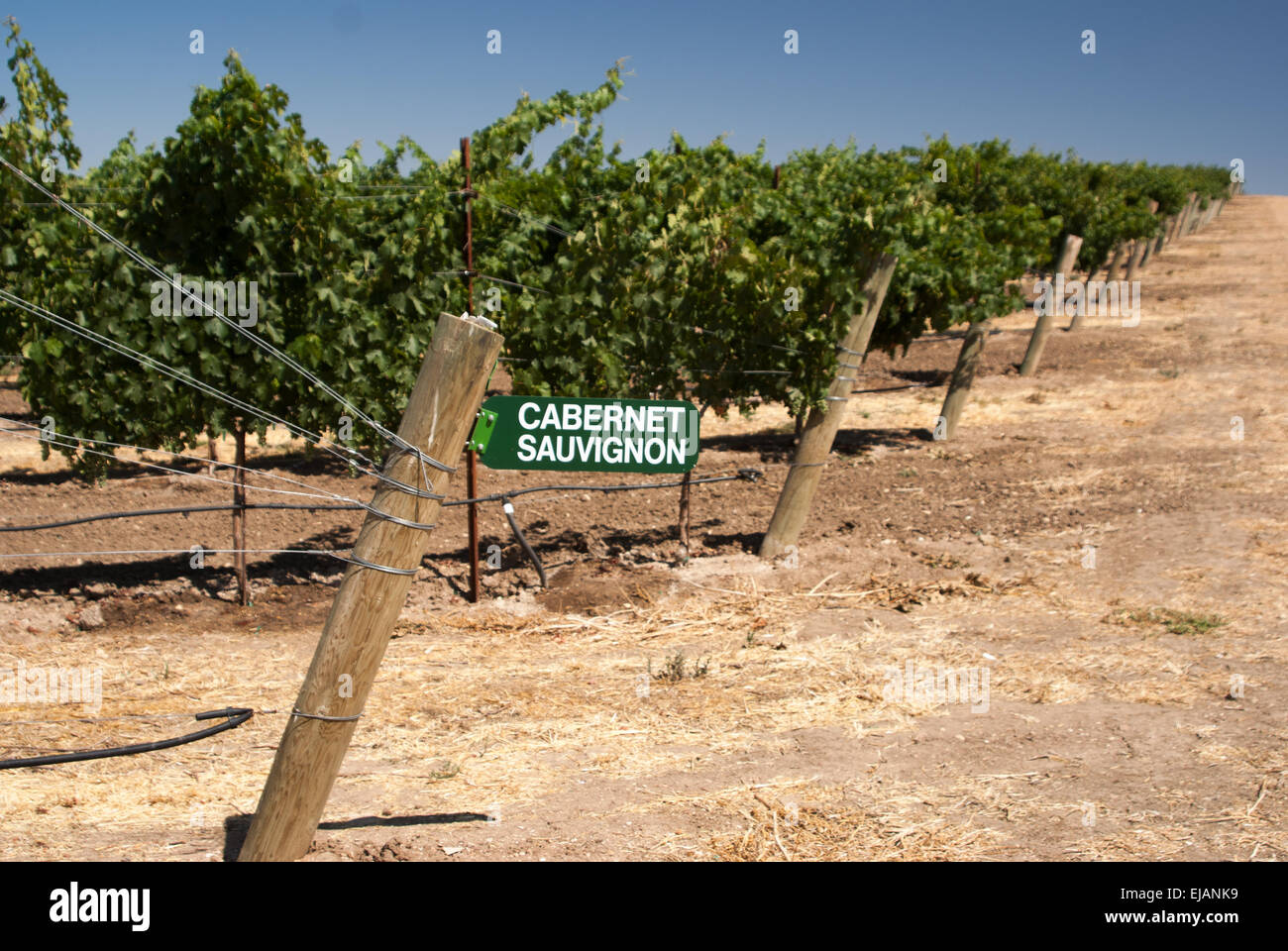 Sign vineyard hi-res stock photography and images - Alamy