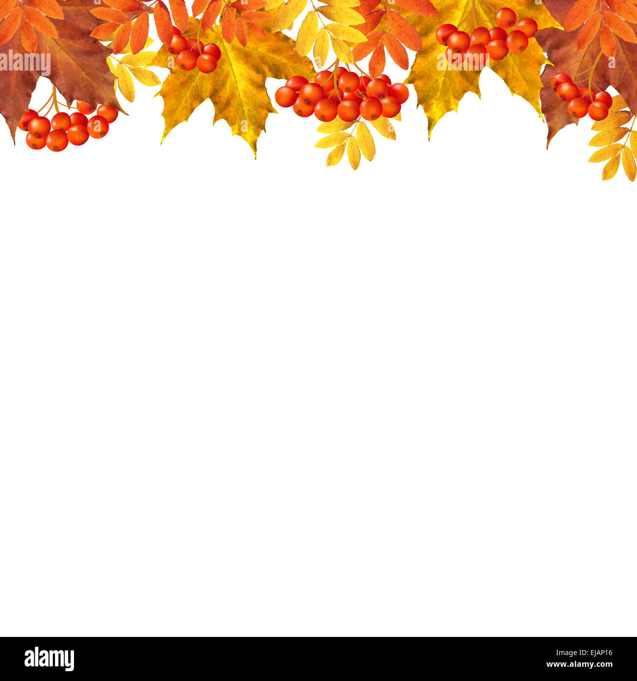 Autumn Border With Leaves Stock Photo - Alamy
