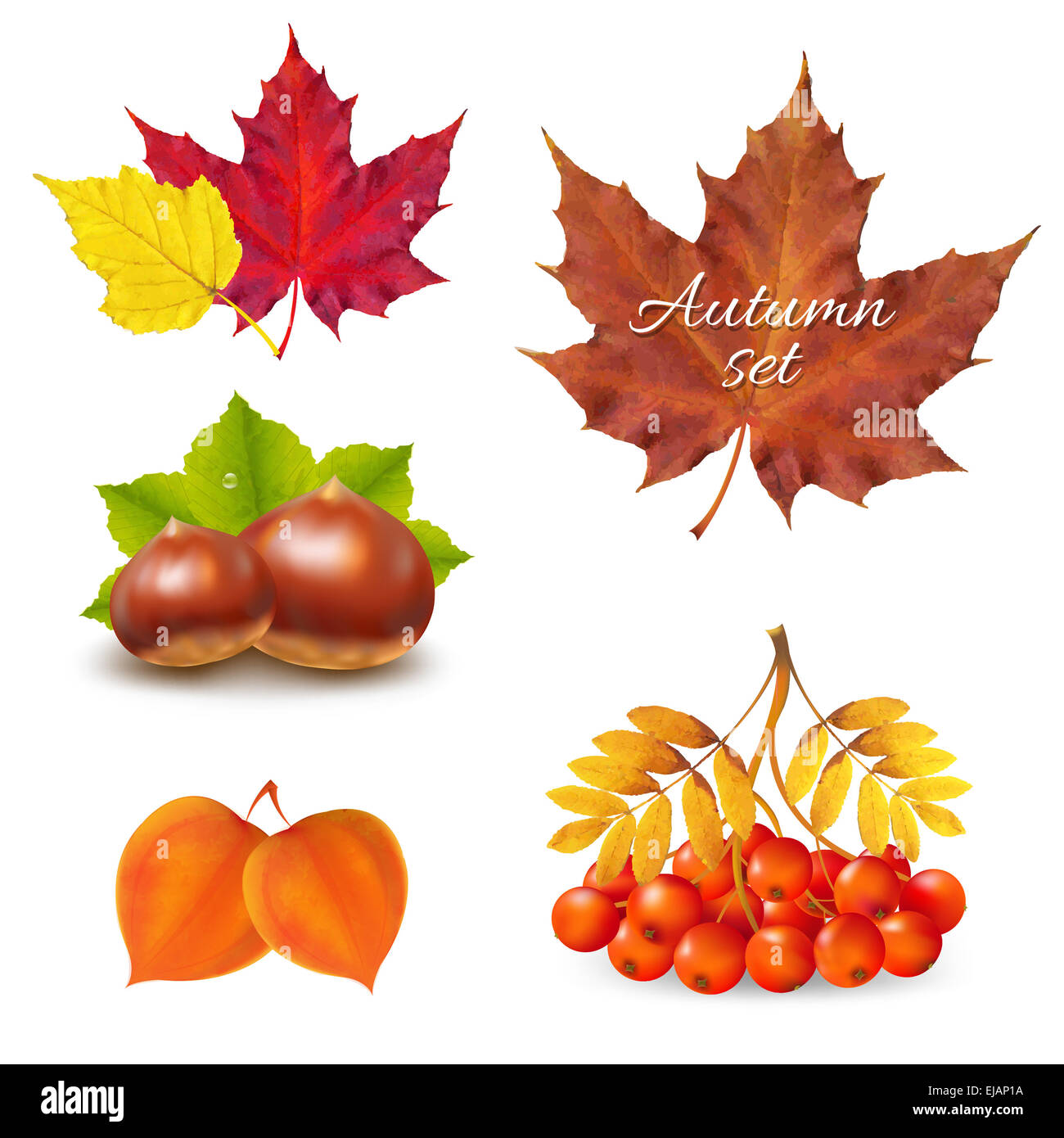 Autumn foliage frame set Cut Out Stock Images & Pictures - Alamy