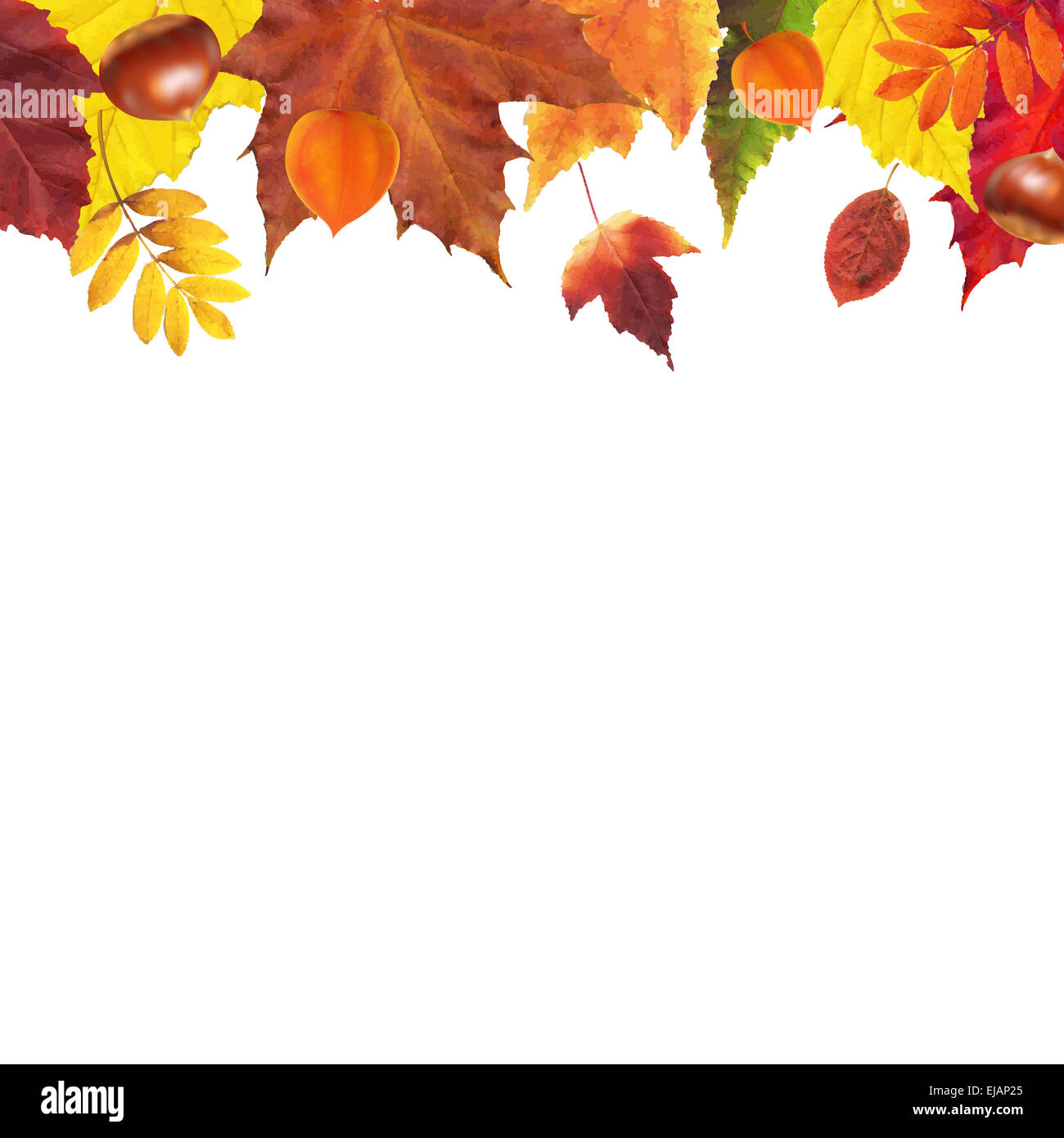 Autumn Leaves Border Stock Photo - Alamy