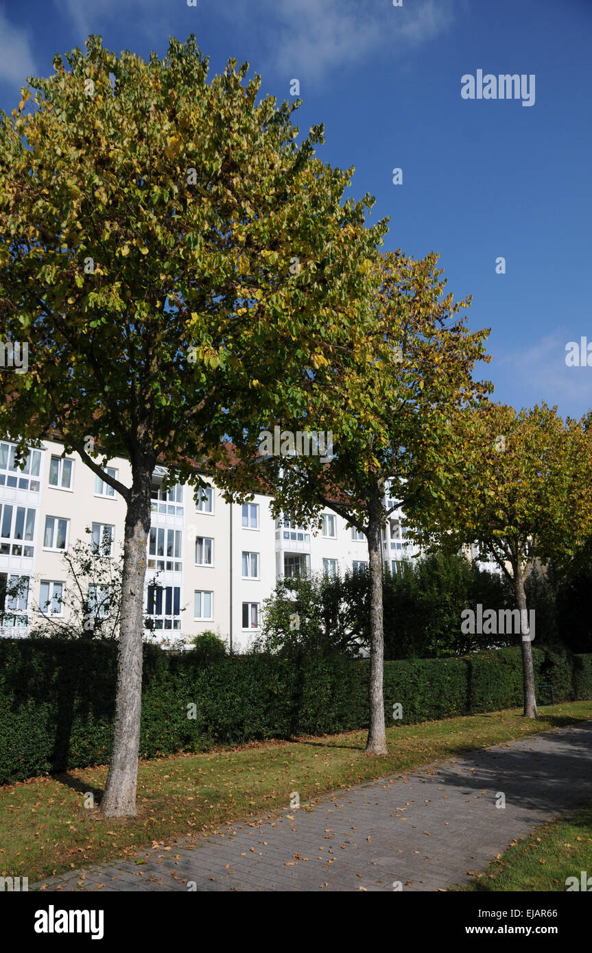 Turkish hasel hi-res stock photography and images - Alamy