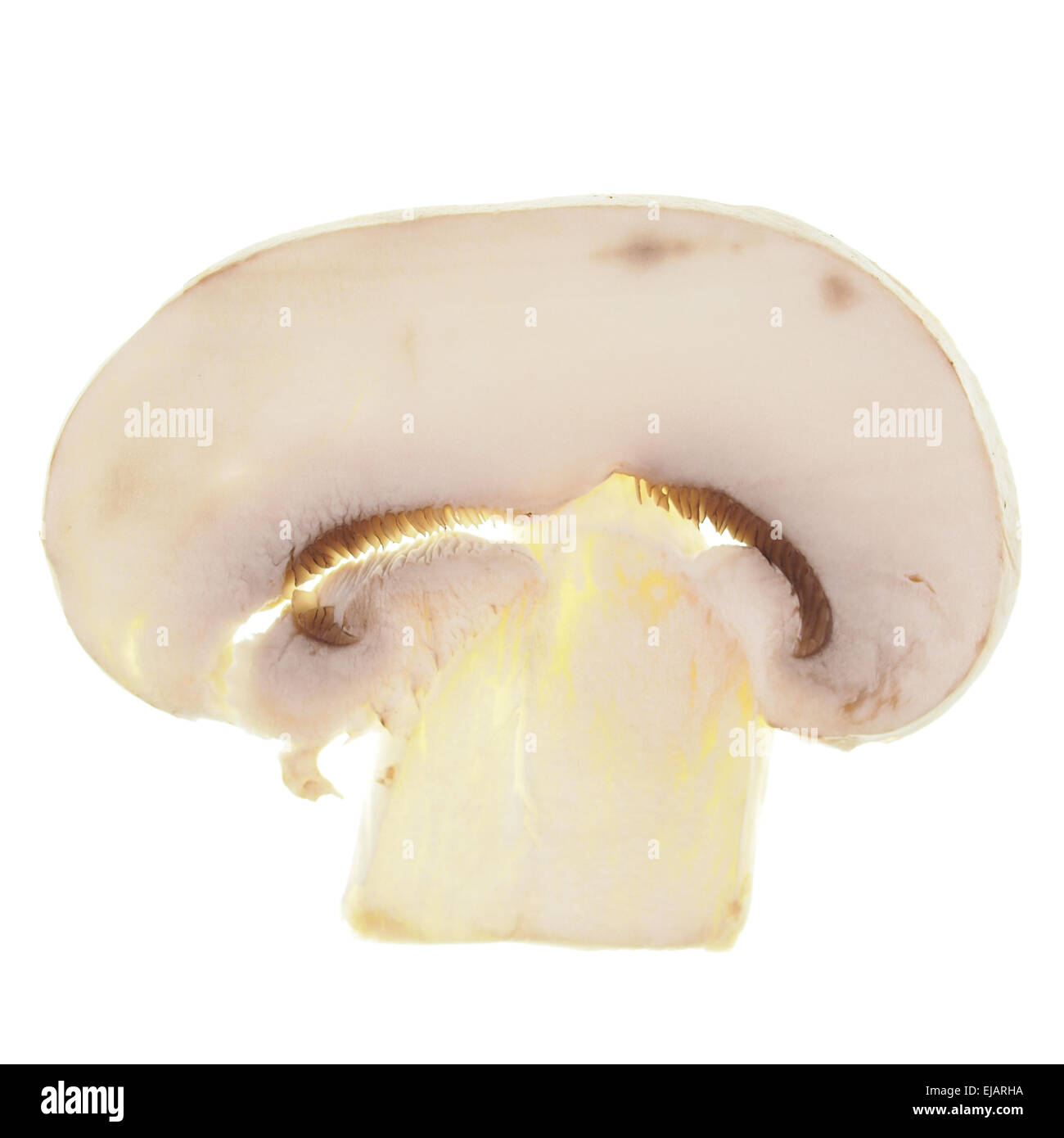 Sliced Agaricus bisporus aka champignons mushrooms isolated over white ...