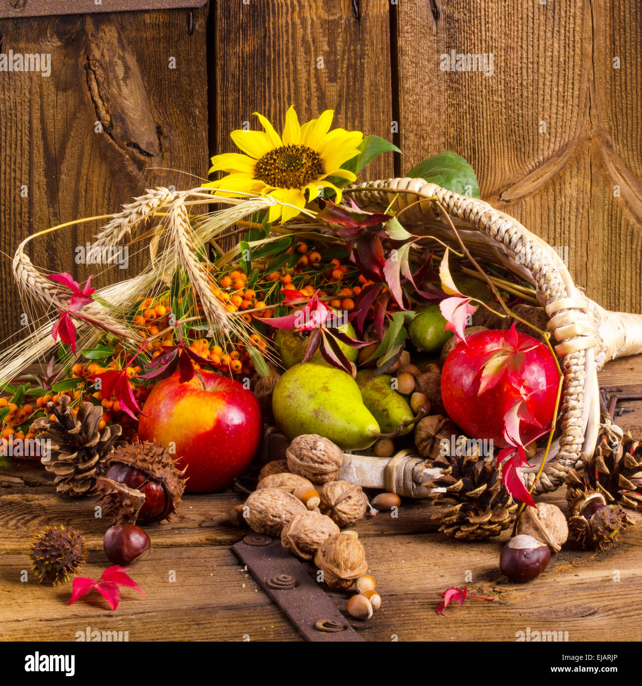Cornucopia fall hi-res stock photography and images - Alamy