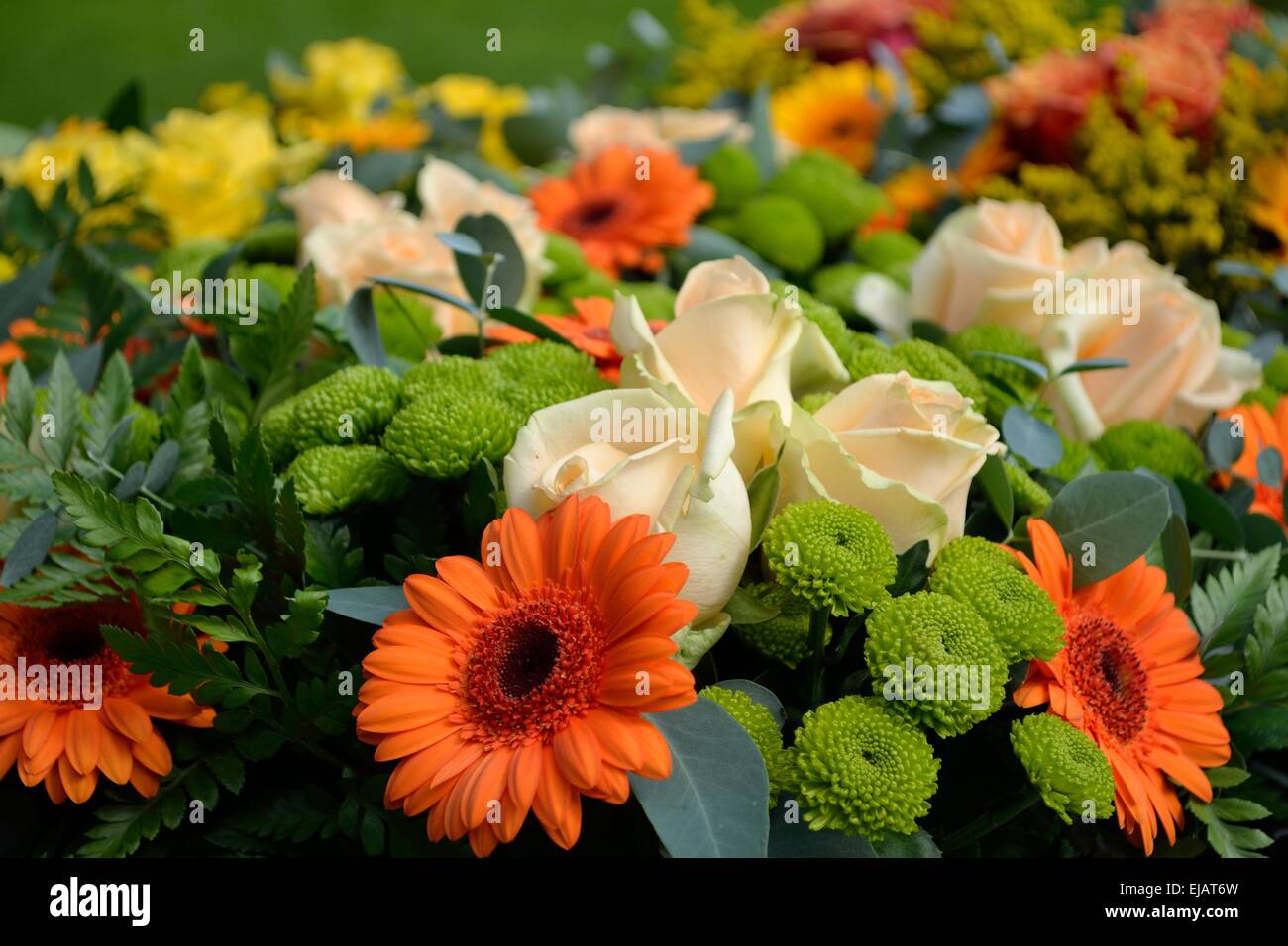 Bright cut decoration hi-res stock photography and images - Alamy