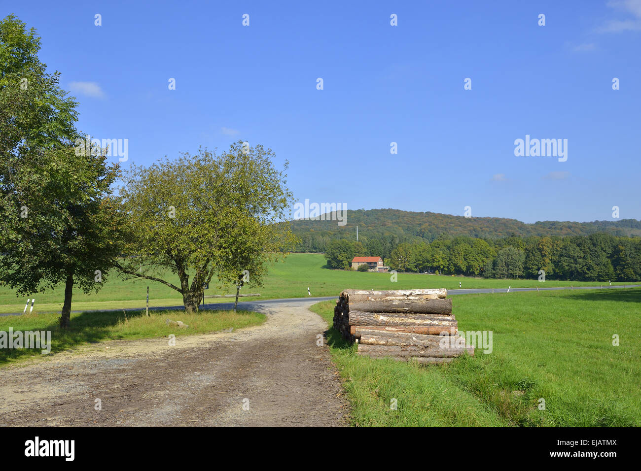 Hochstein Stock Photos & Hochstein Stock Images - Alamy
