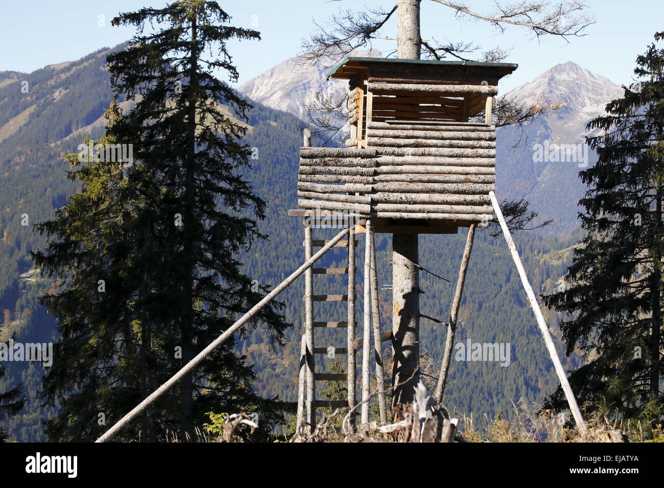 Wood hunter seat hi-res stock photography and images - Alamy