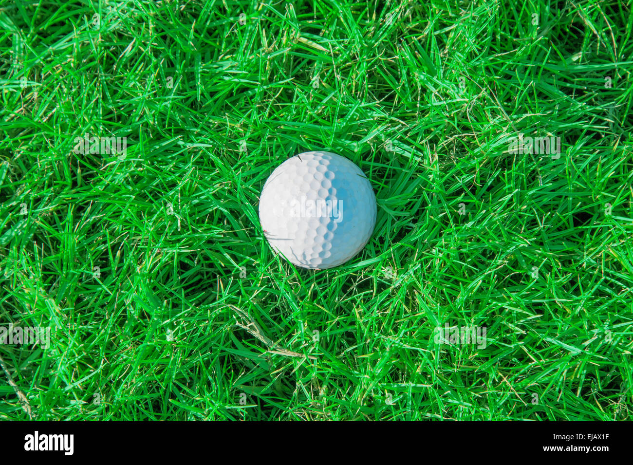 Golf club and ball in grass Stock Photo - Alamy