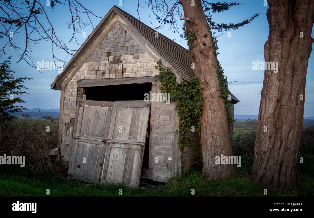 Abandoned shack hi-res stock photography and images - Alamy