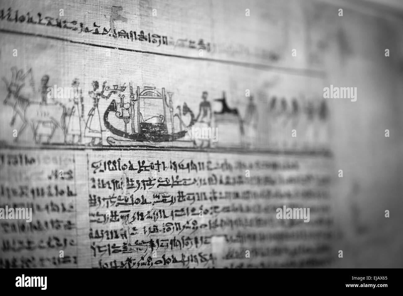 Book of the dead egypt horus hi-res stock photography and images - Alamy