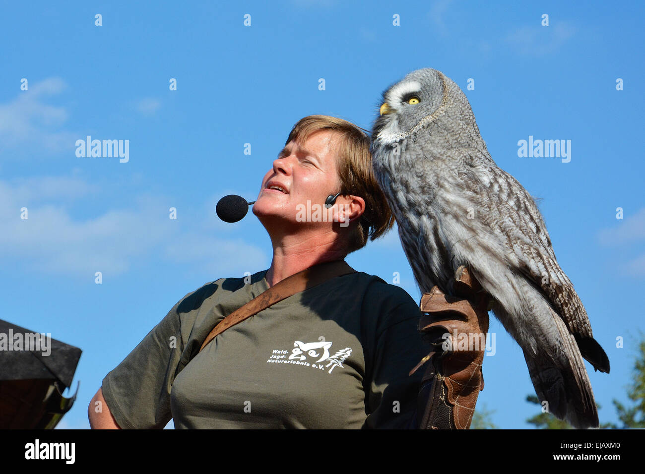German falconer with great gray owl Stock Photo - Alamy