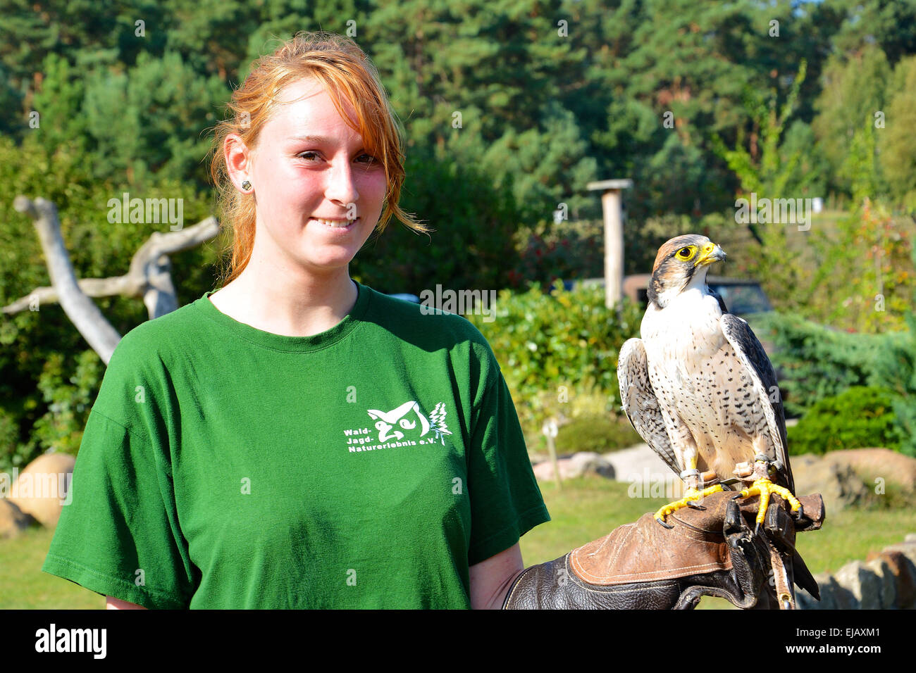 German falconer with falcon Stock Photo - Alamy