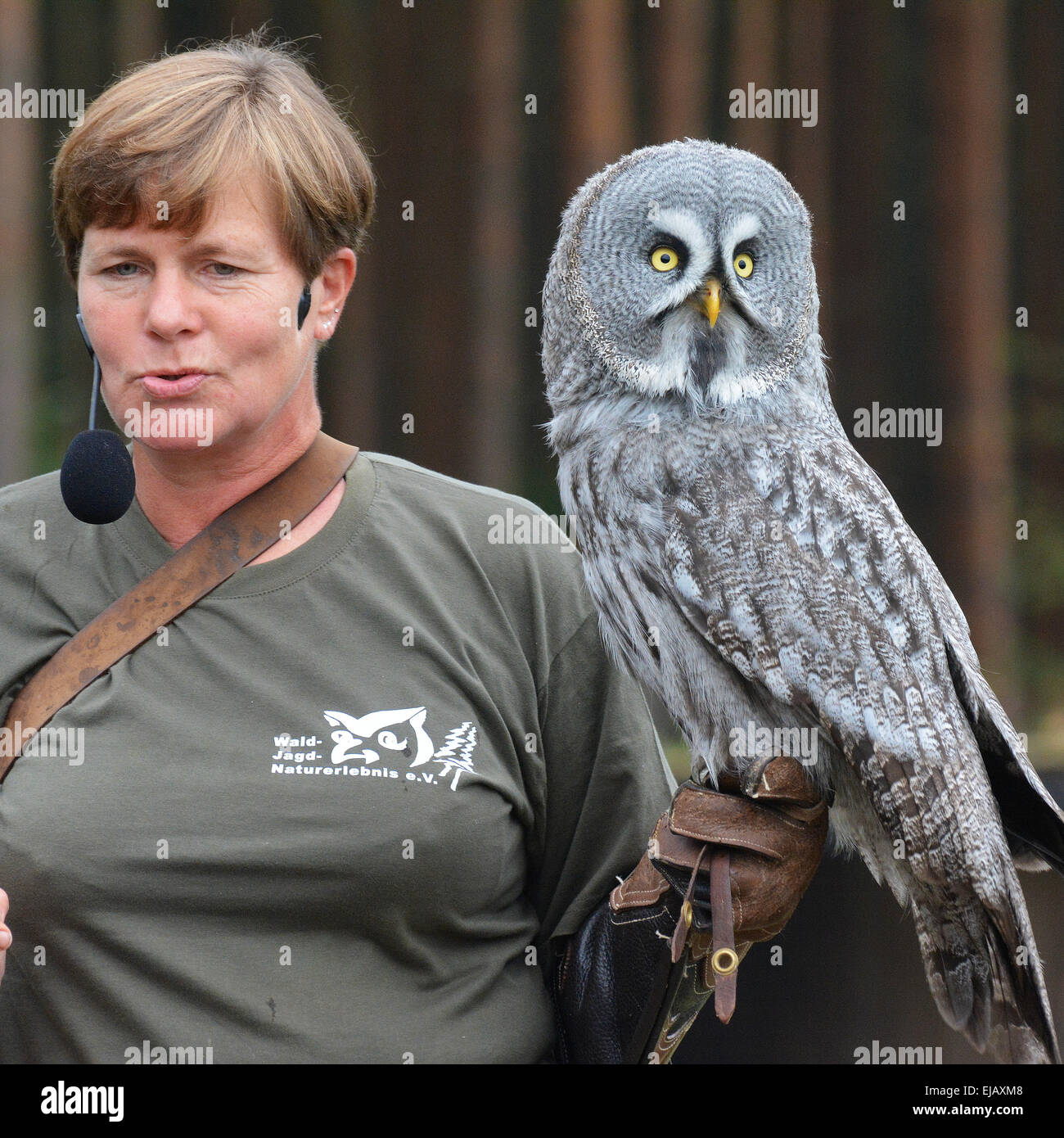 German falconer with Great gray owl Stock Photo - Alamy