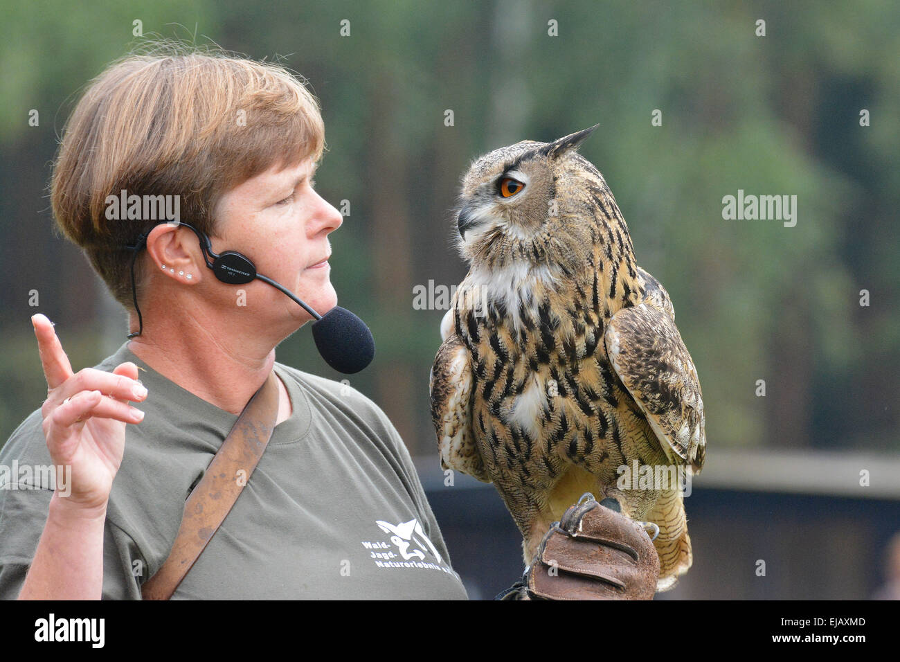 German falconer with siberian eagle owl Stock Photo - Alamy