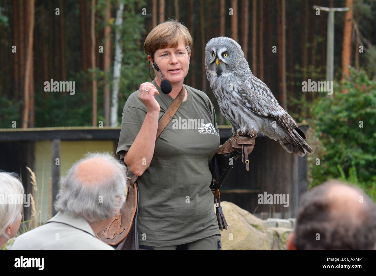 German falconer with great gray owl Stock Photo - Alamy