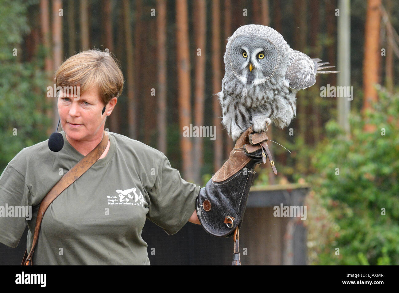 German falconer with great gray owl Stock Photo - Alamy