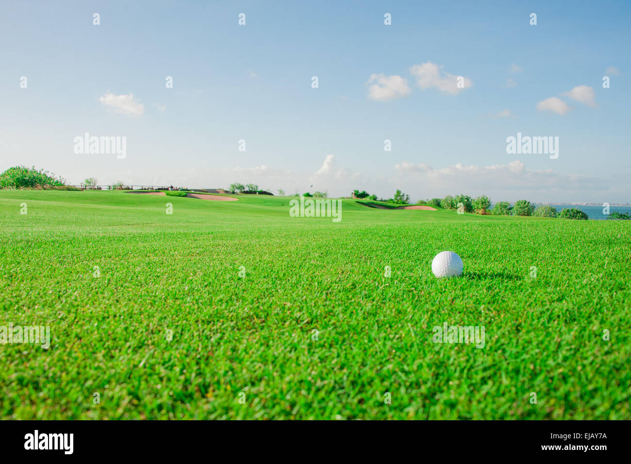 Golf club and ball in grass Stock Photo - Alamy