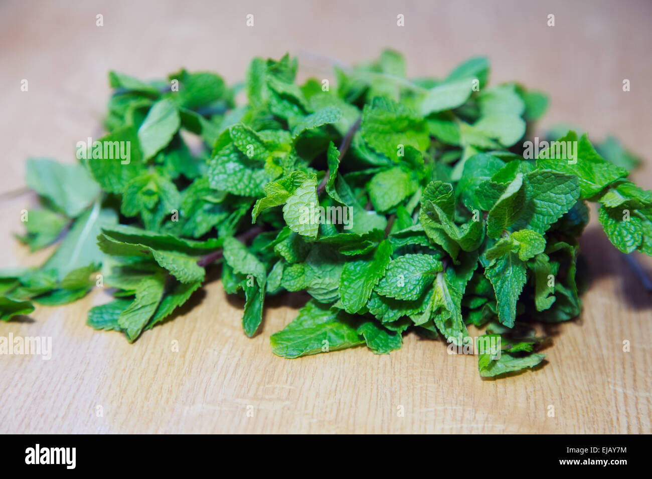 Boad hi-res stock photography and images - Alamy