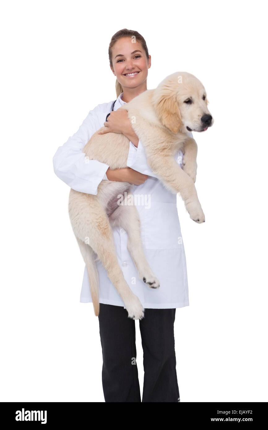 Smiling vet holding a puppy Stock Photo - Alamy
