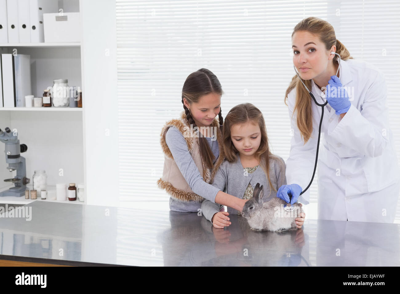 Vet examining bunny rabbit hi-res stock photography and images - Alamy