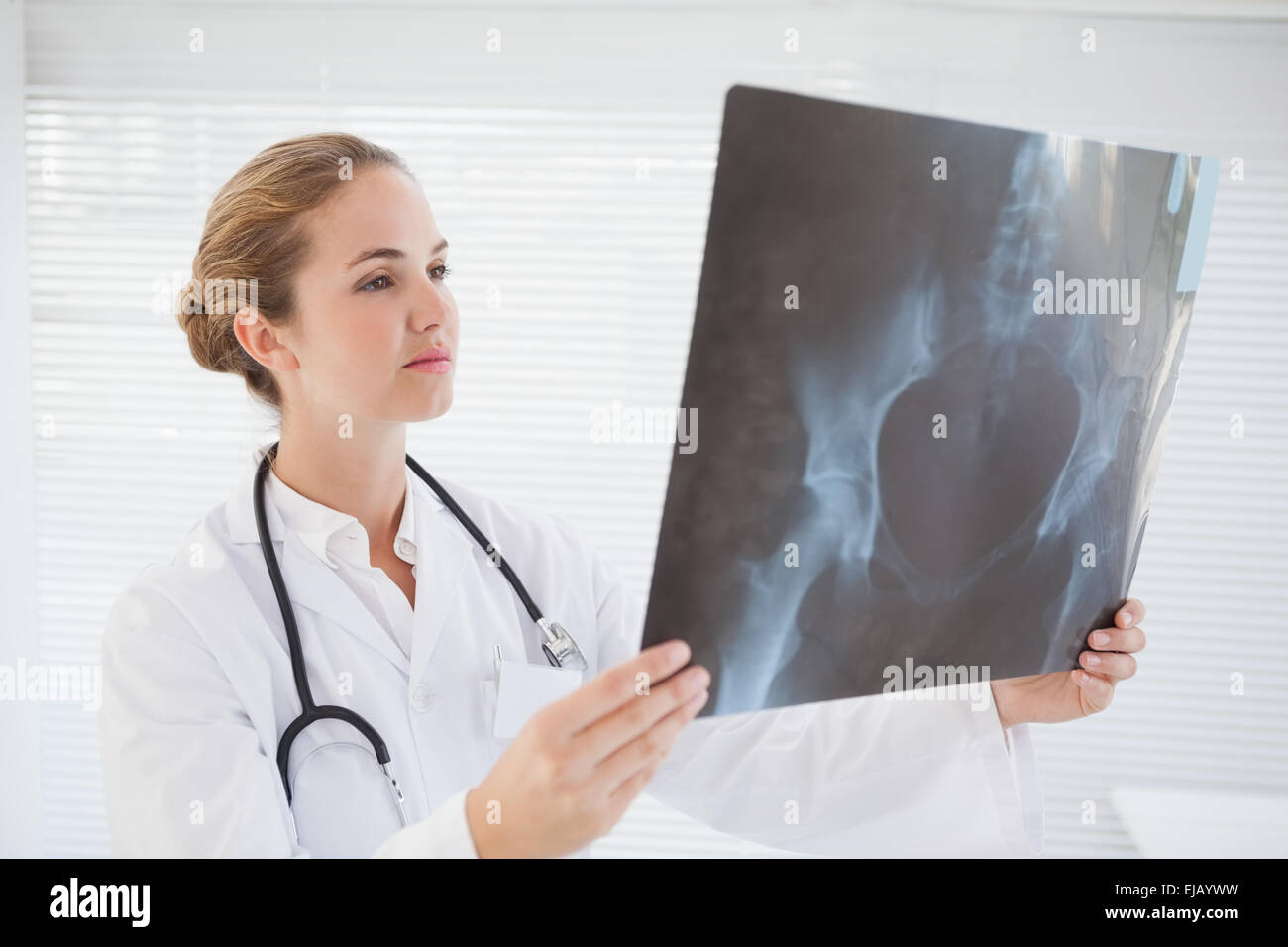 Focused doctor looking at xray Stock Photo - Alamy
