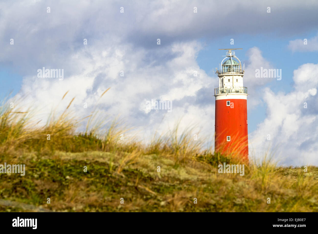 Insel texel hi-res stock photography and images - Alamy