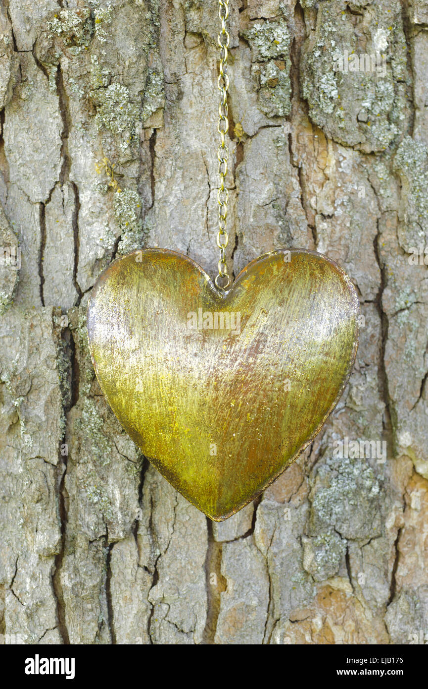 heart at tree bark Stock Photo - Alamy