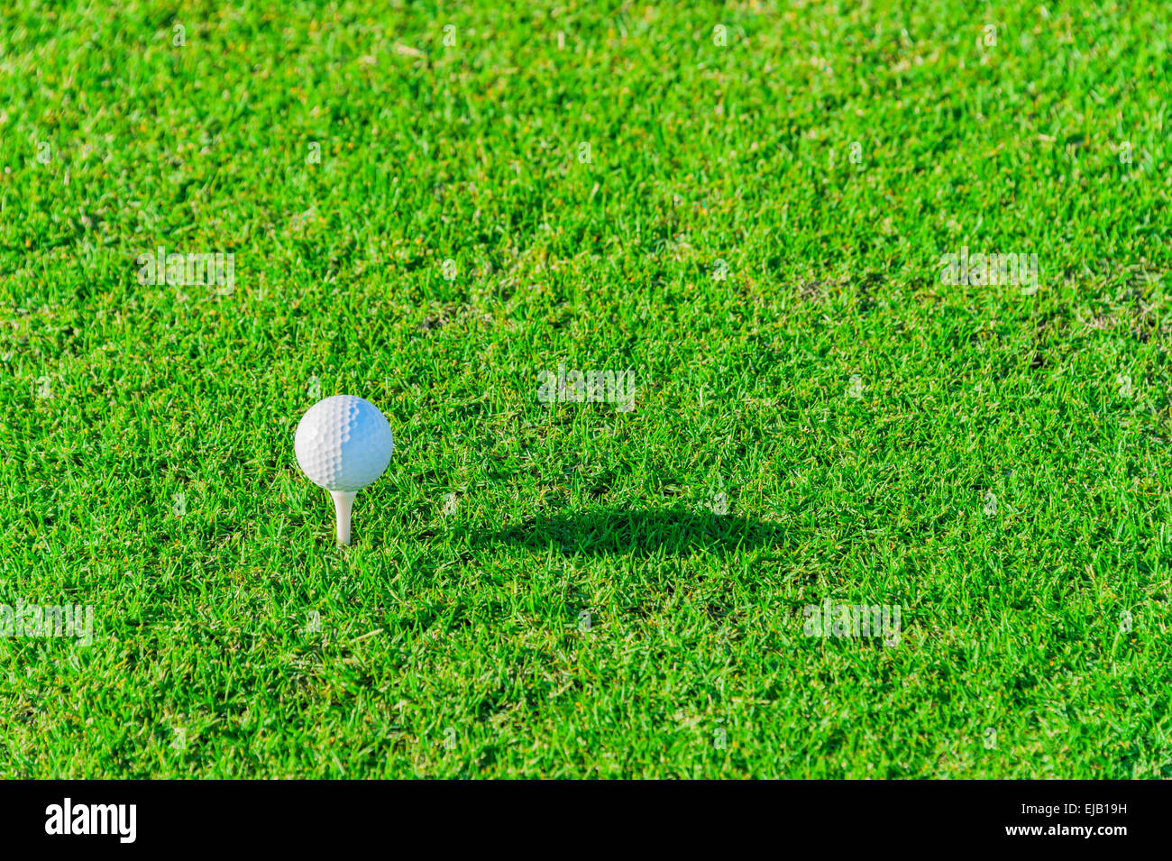 Golf club and ball in grass Stock Photo - Alamy