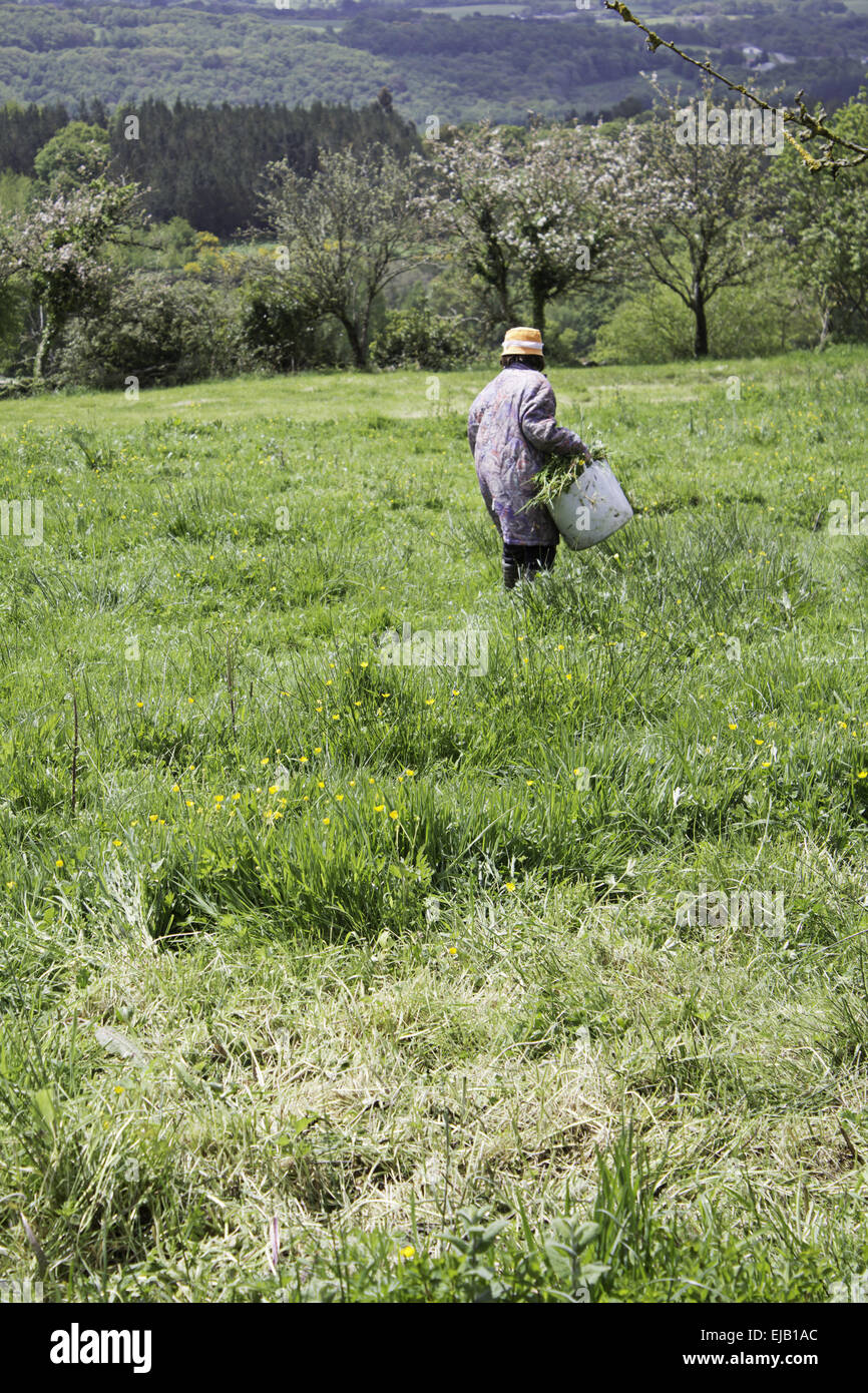 Farmers profession hi-res stock photography and images - Alamy