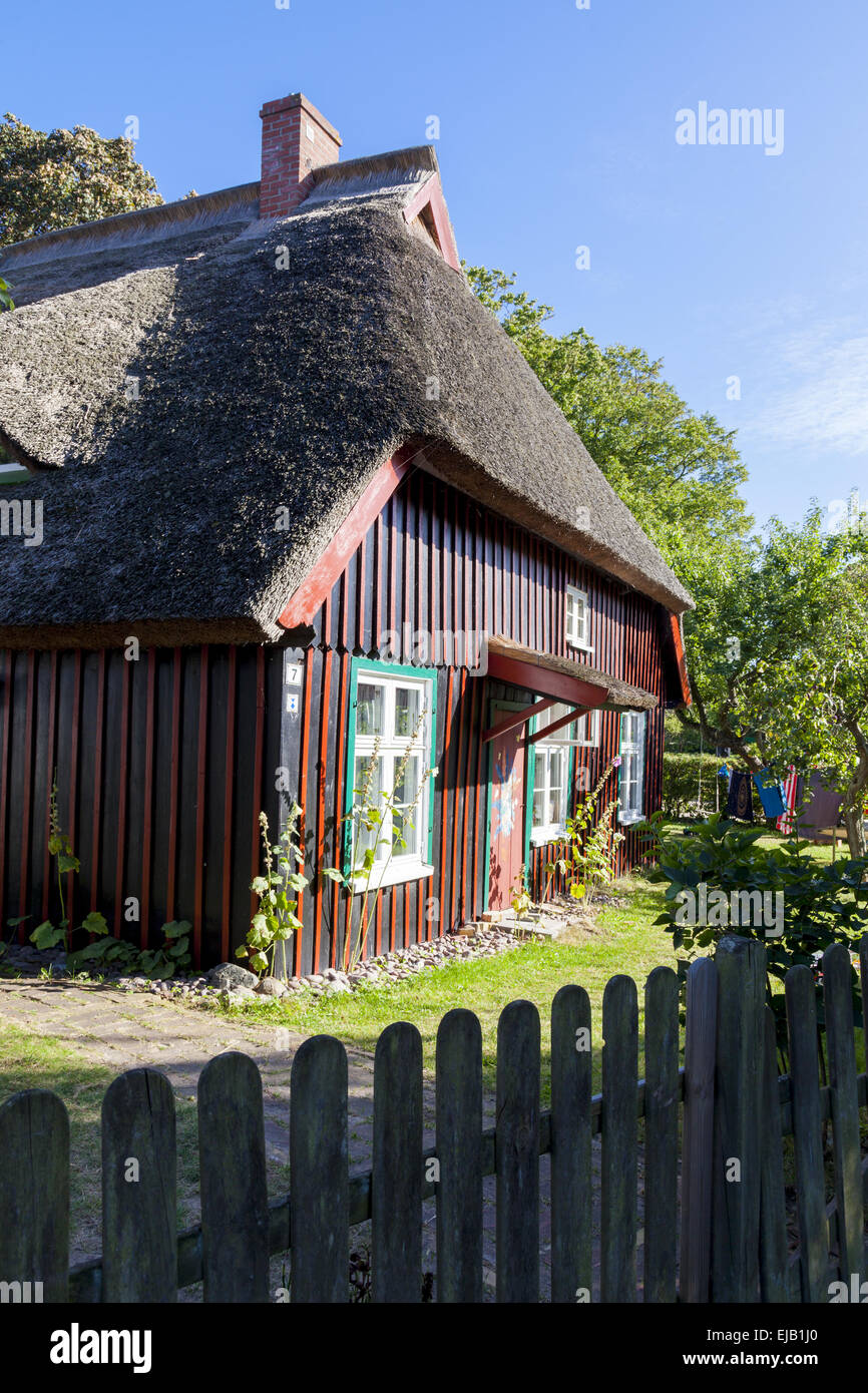 Thatched wooden house in Born Stock Photo - Alamy
