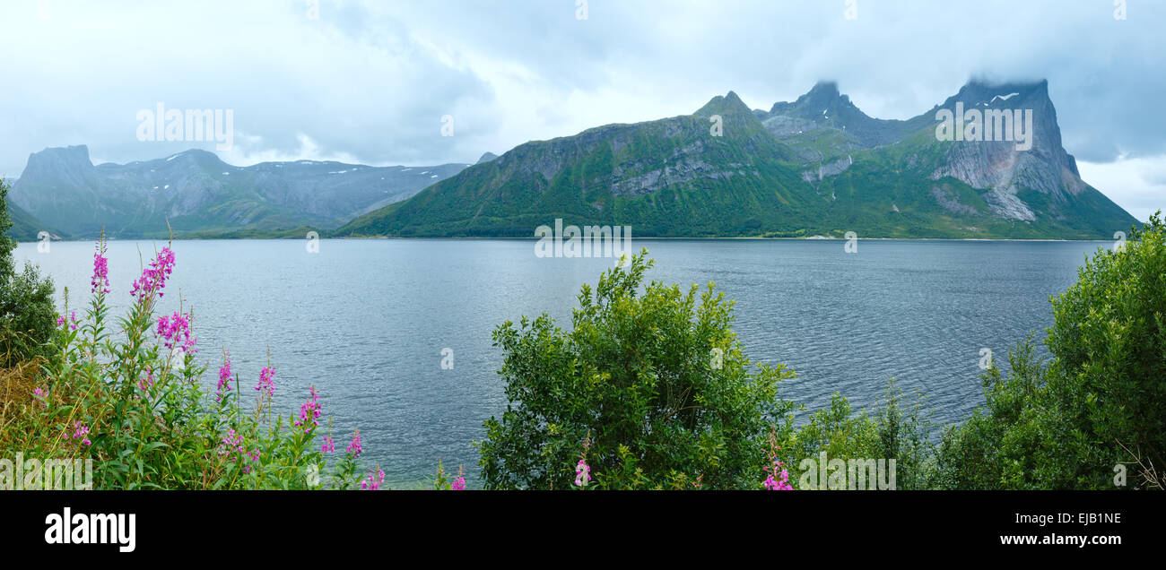 Norway summer fjord hi-res stock photography and images - Alamy