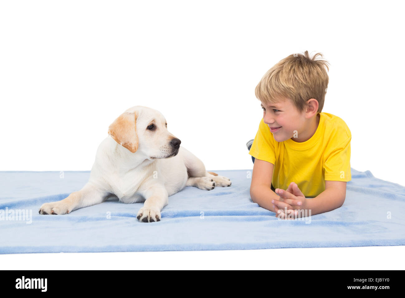Boy with puppy Cut Out Stock Images & Pictures - Alamy