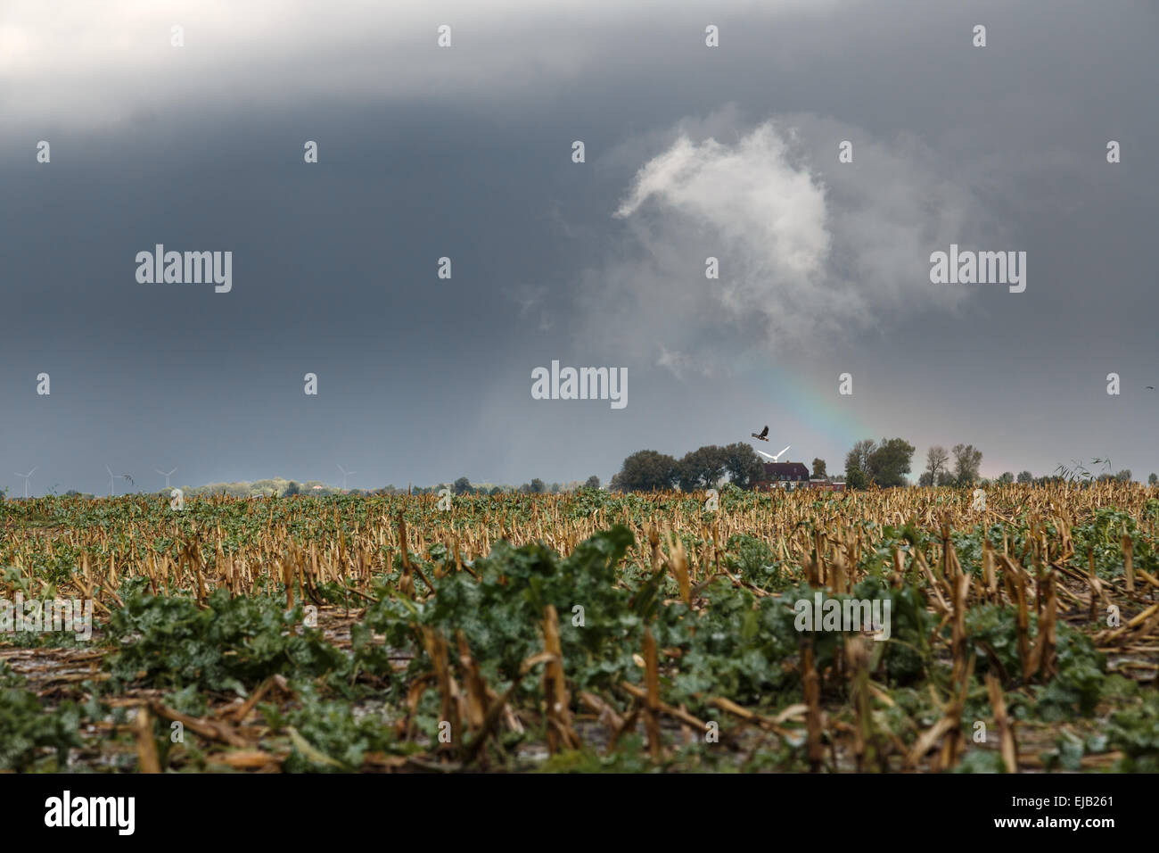 Weather in October Stock Photo - Alamy