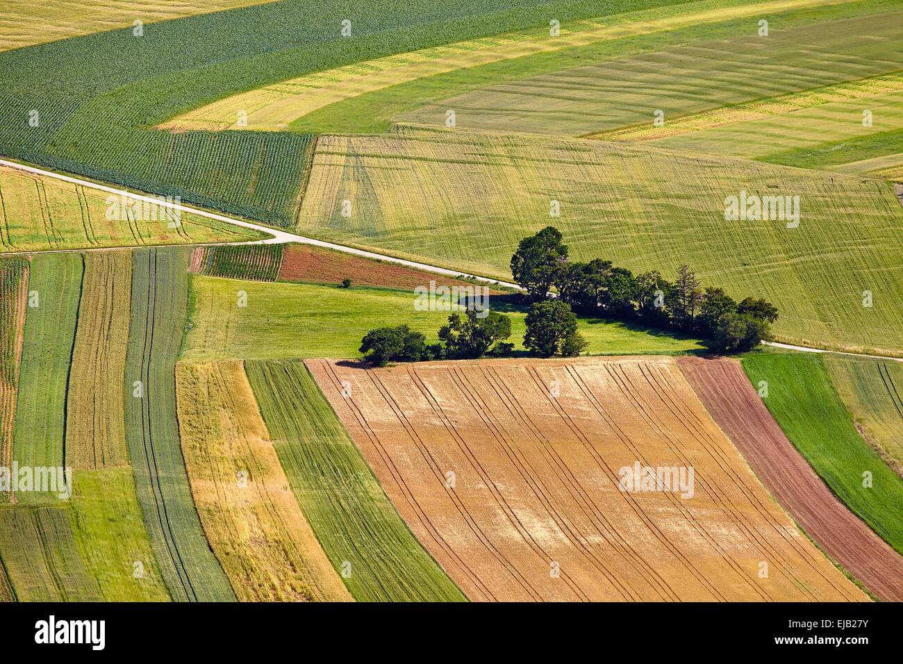 Fileds of wheat hi-res stock photography and images - Alamy
