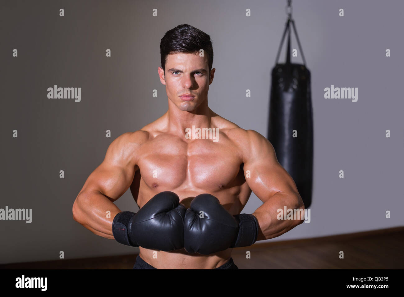 Portrait of a shirtless muscular boxer Stock Photo - Alamy