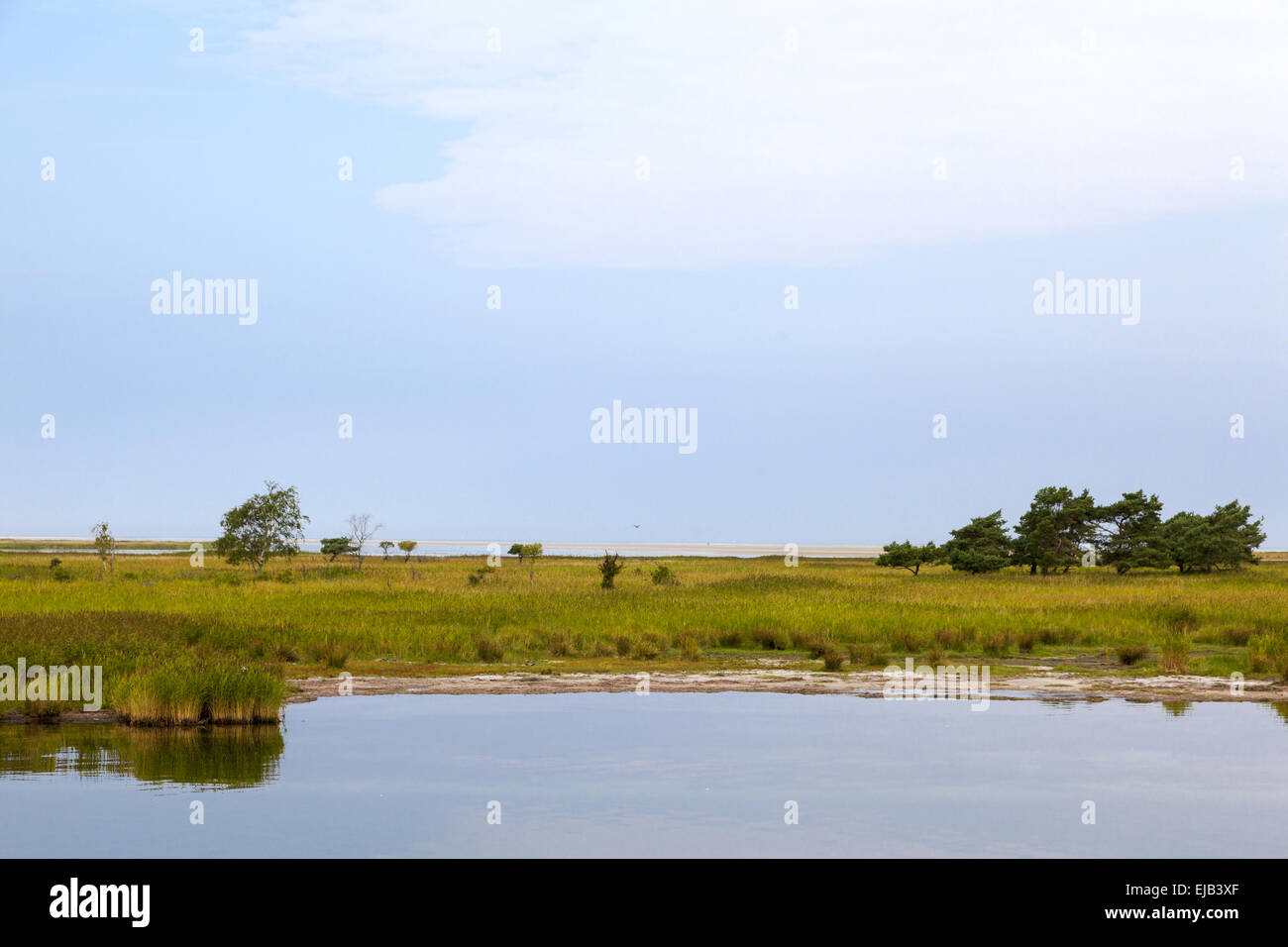 Nationalpark vorpommersche bodden landschaft hi-res stock photography ...