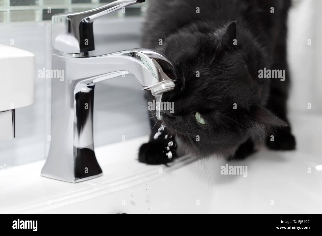 Drinking from the tap hi-res stock photography and images - Alamy