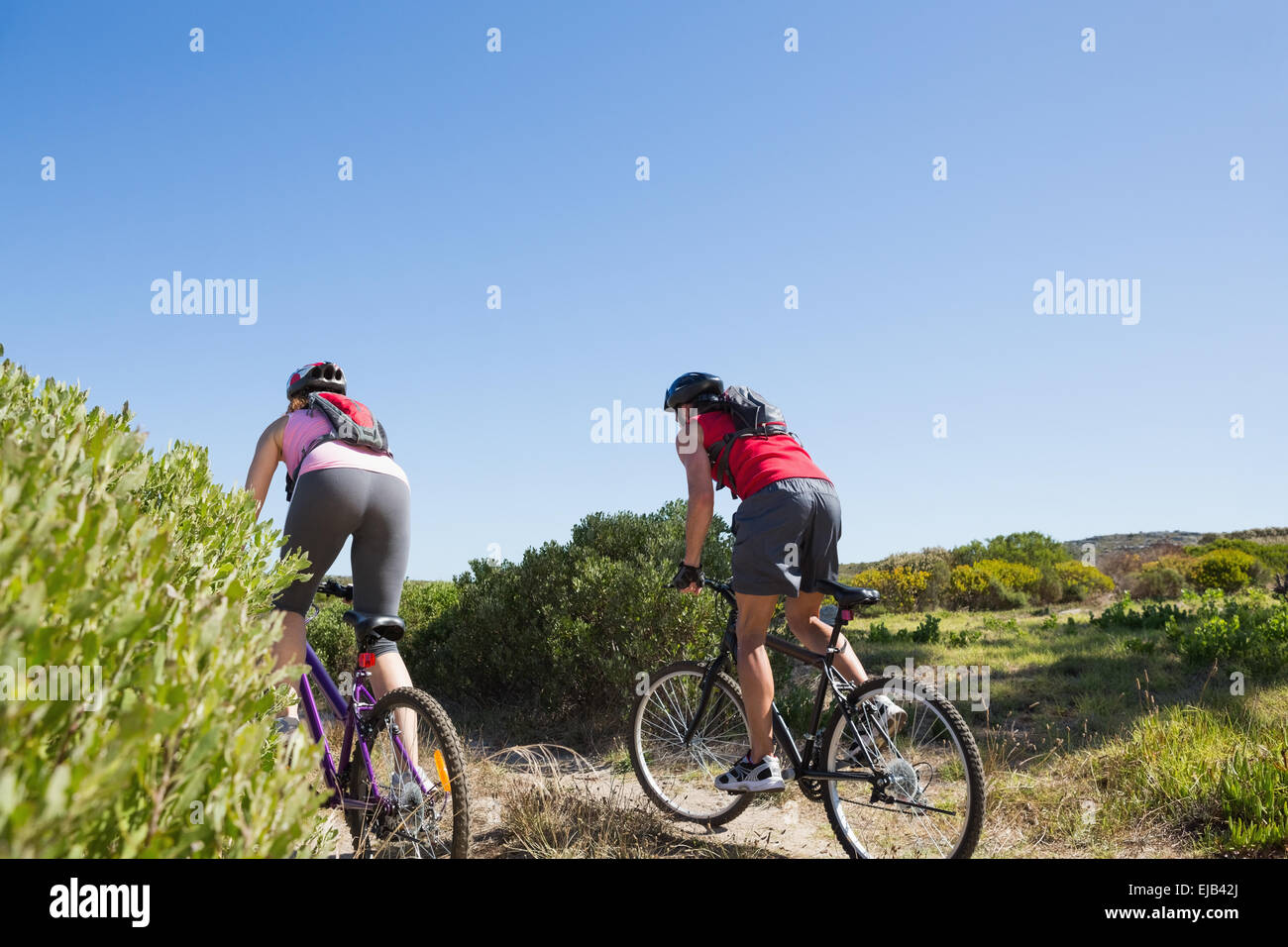 Active couple cycling in the countryside Stock Photo - Alamy
