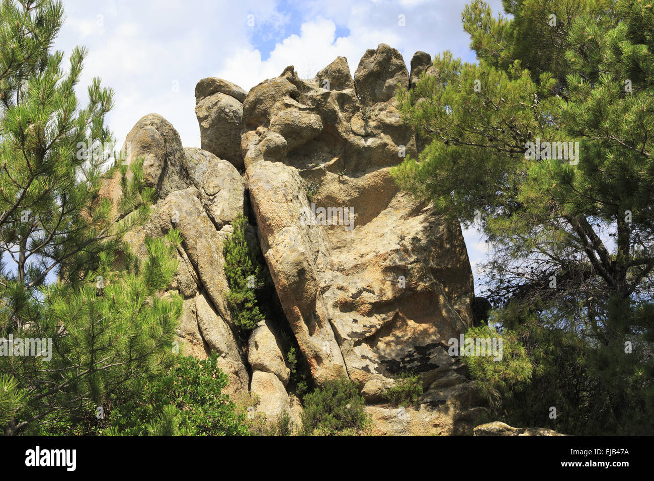 Huge feet hi-res stock photography and images - Alamy