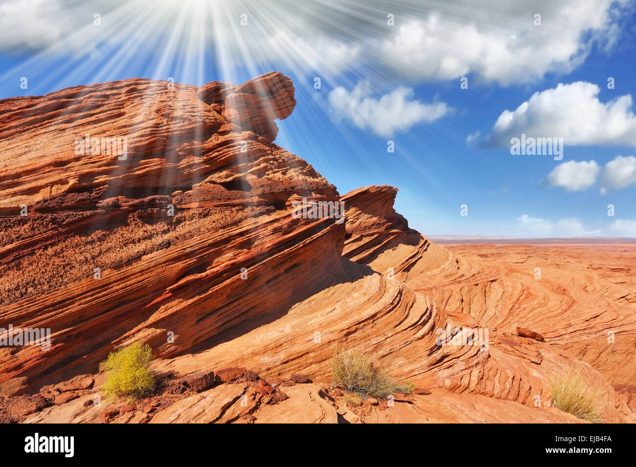 Sunny walk hi-res stock photography and images - Alamy